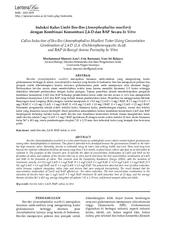 (PDF) Induksi Kalus Umbi Iles-Iles (Amorphophallus muelleri) dengan ...