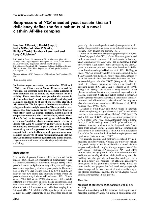 (PDF) Suppressors of YCK-encoded yeast casein kinase 1 deficiency ...