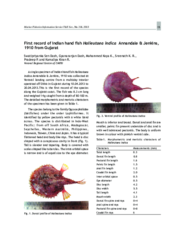 (PDF) First record of Indian hand fish Halieutaea indica Annandale ...