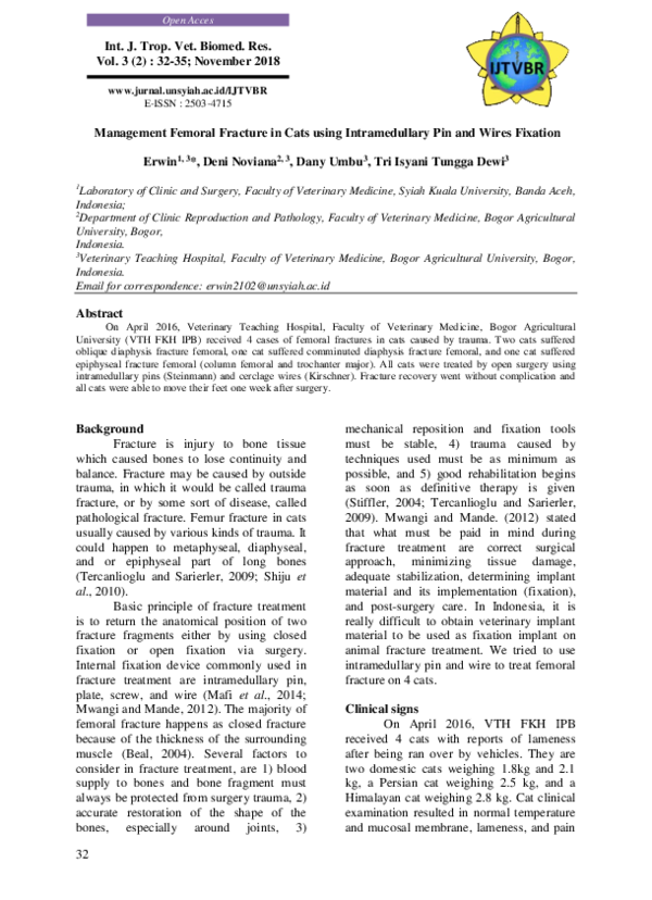 (PDF) Management Femoral Fracture in Cats using Intramedullary Pin and ...
