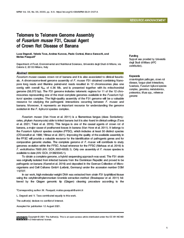 (PDF) Telomere to telomere genome assembly of Fusarium musae F31 ...