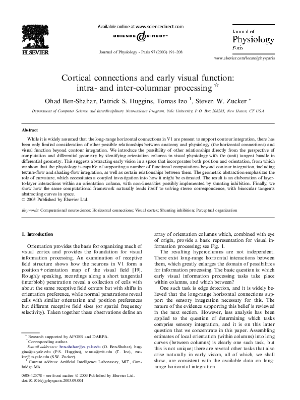 (PDF) Cortical connections and early visual function: intra- and inter ...