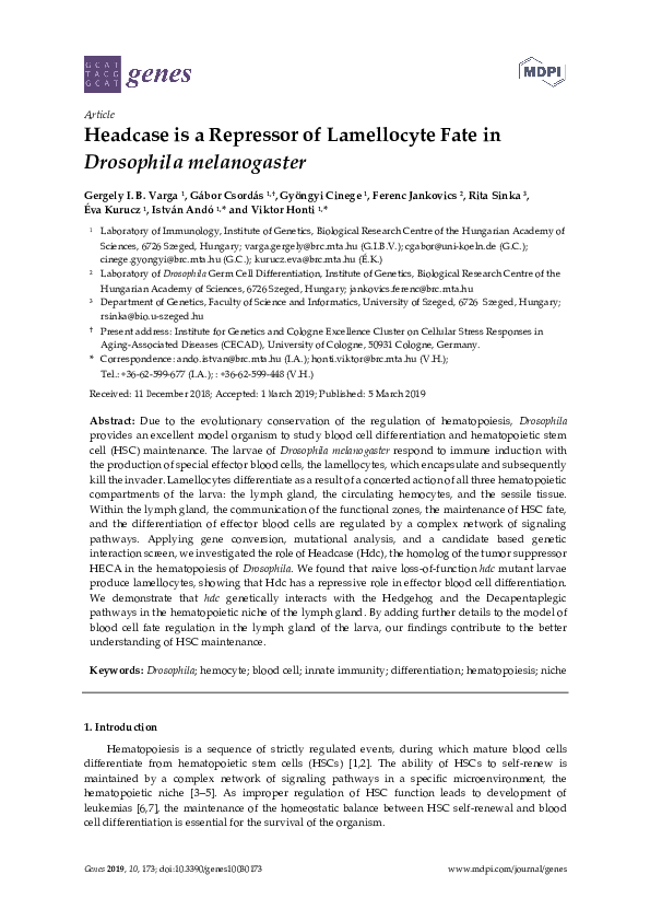 (PDF) Headcase is a Repressor of Lamellocyte Fate in Drosophila ...