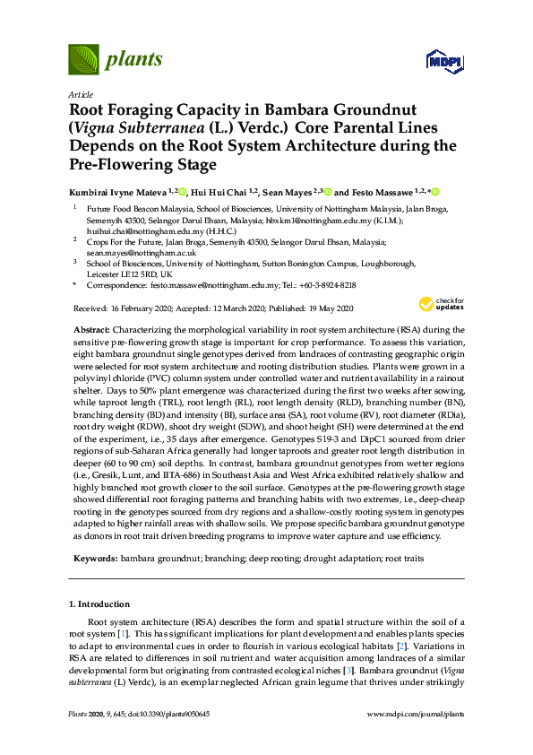 (PDF) Root Foraging Capacity in Bambara Groundnut (Vigna Subterranea (L ...