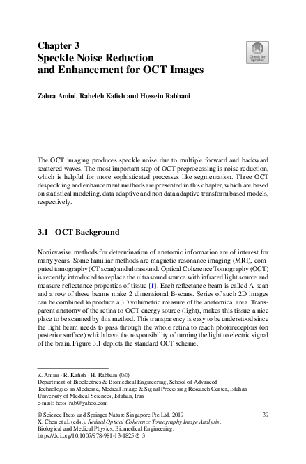 (PDF) Speckle Noise Reduction and Enhancement for OCT Images