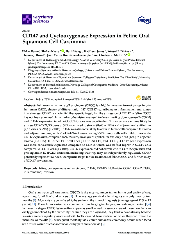 (PDF) CD147 and Cyclooxygenase Expression in Feline Oral Squamous Cell ...