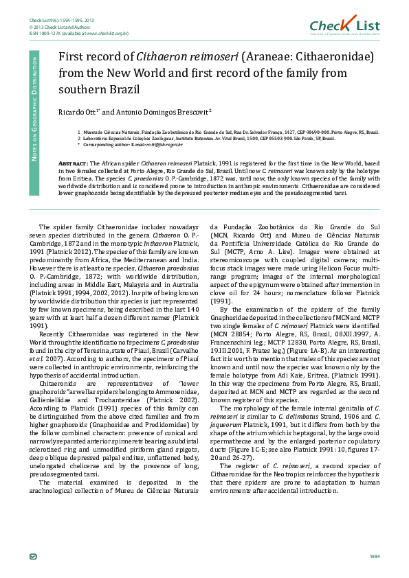 (PDF) First record of Cithaeron reimoseri (Araneae: Cithaeronidae) from ...