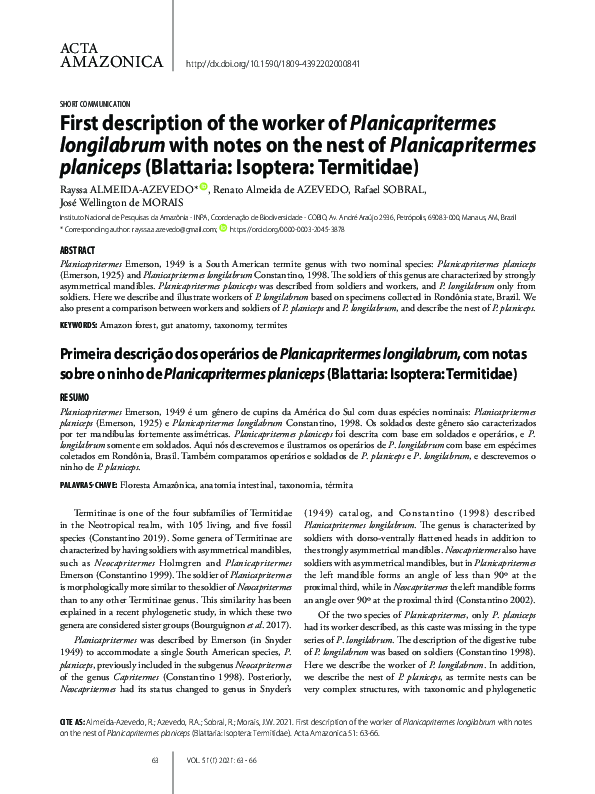 (PDF) First description of the worker of Planicapritermes longilabrum ...