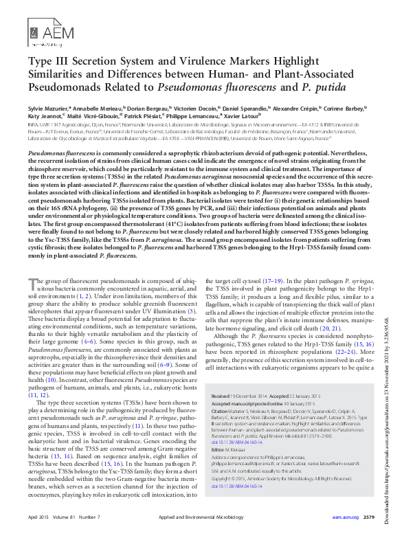 (PDF) The type III secretion system
