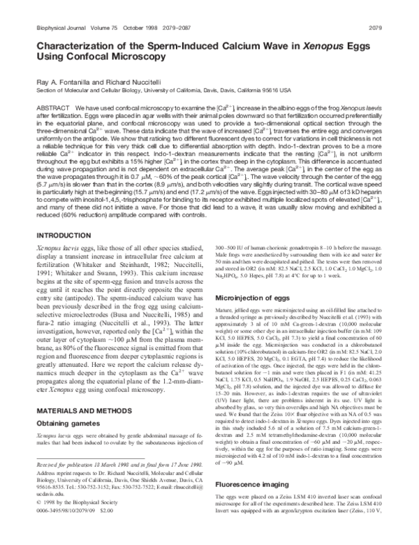 (PDF) Characterization of the sperm-induced calcium wave in Xenopus ...