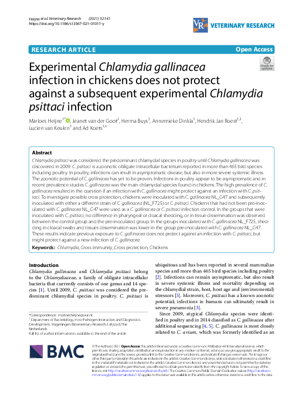 (PDF) Experimental Chlamydia gallinacea infection in chickens does not ...