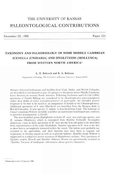 (PDF) Of Some Middle Cambrian Scenella ( Cnidaria ) and Hyolithids ...