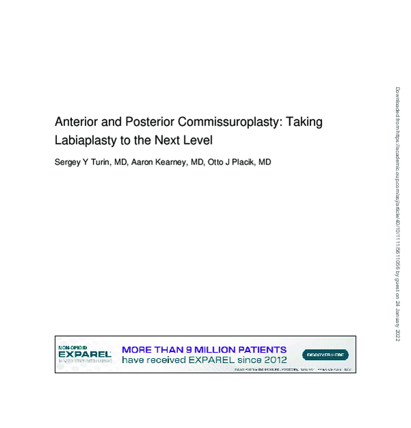 (PDF) Anterior and Posterior Commissuroplasty: Taking Labiaplasty to ...