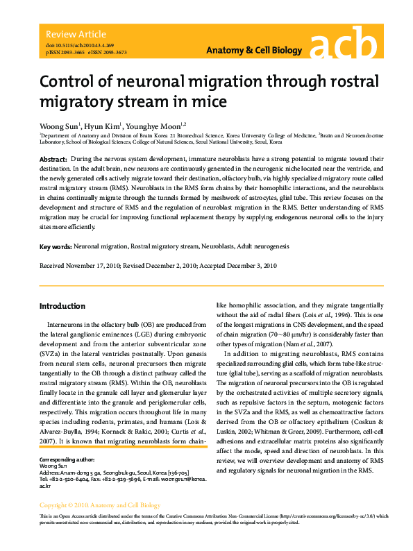 (PDF) Control of neuronal migration through rostral migration stream in ...