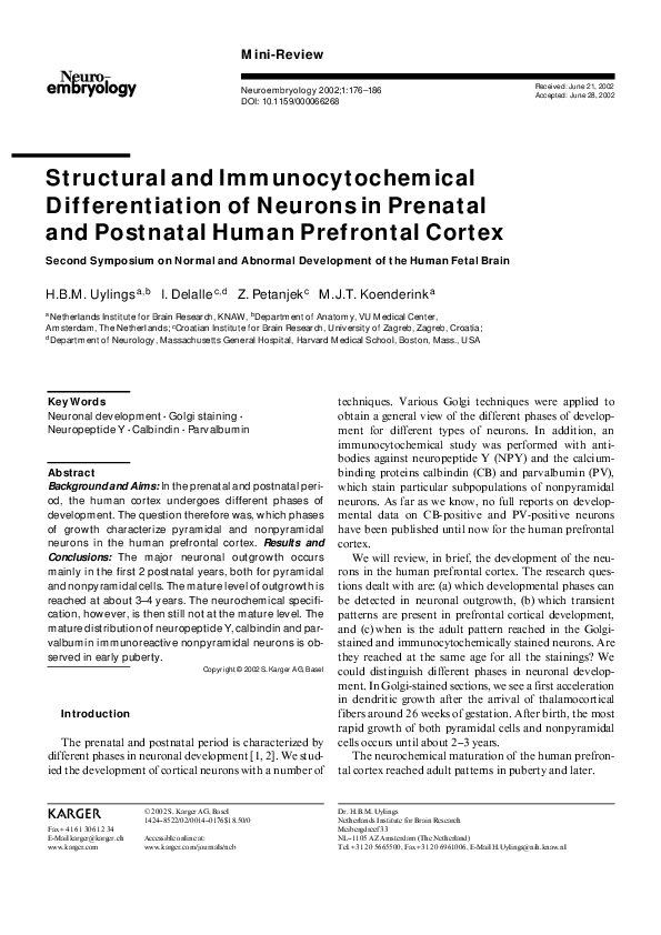 (PDF) Structural and immunocytochemical differentiation of neurons in ...
