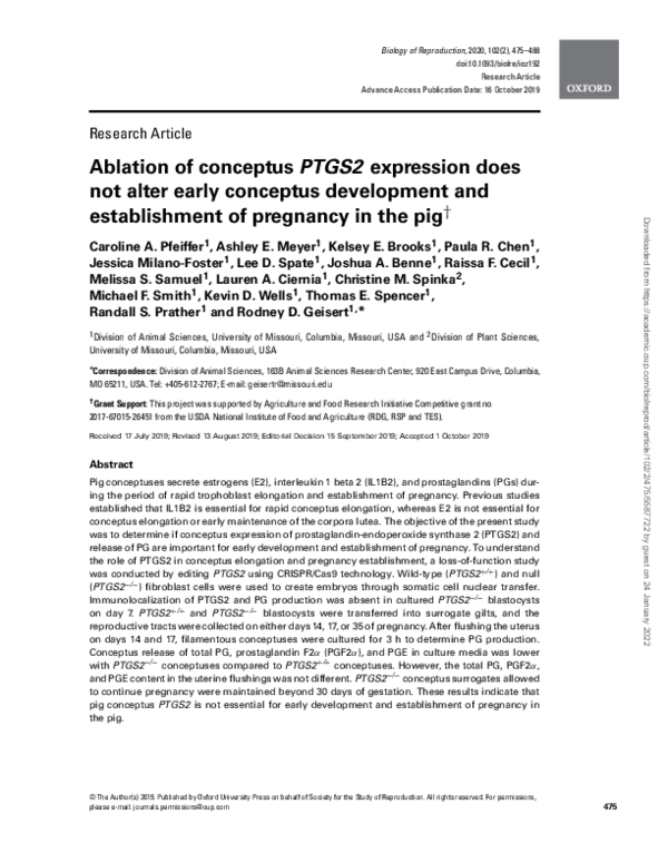 (PDF) Ablation of conceptus PTGS2 expression does not alter early ...