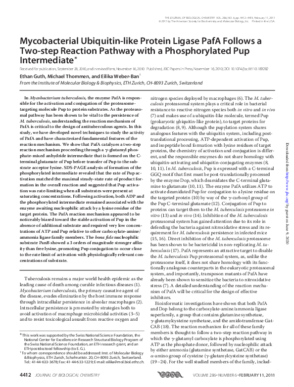 (PDF) Mycobacterial Ubiquitin-like Protein Ligase PafA Follows a Two ...