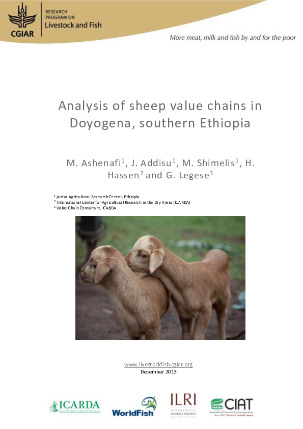 (PDF) Analysis of sheep value chains in Doyogena, southern Ethiopia