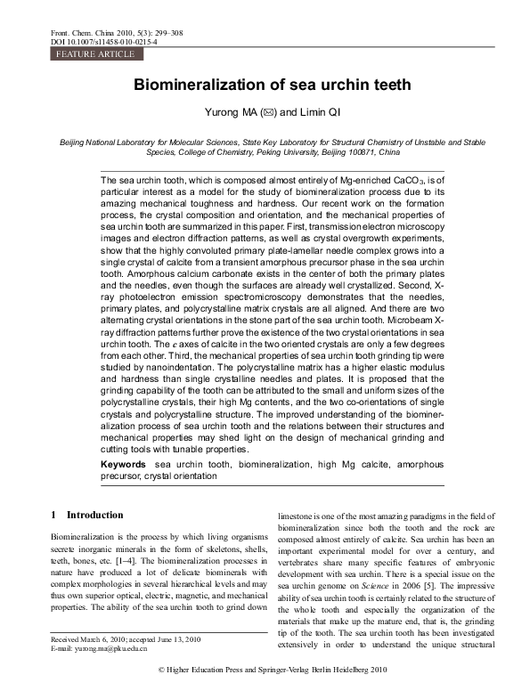 (PDF) Biomineralization of sea urchin teeth