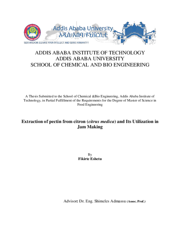 (PDF) Addis Ababa Institute of Technology Addis Ababa University School ...