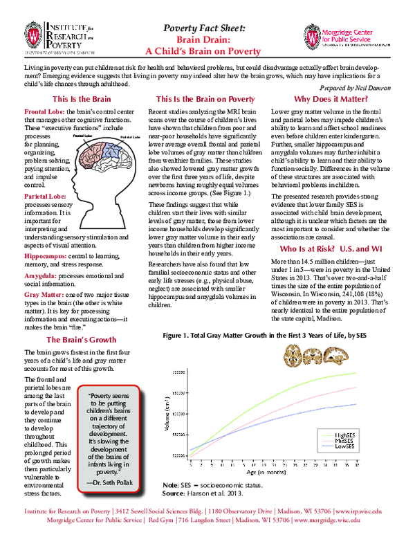 (PDF) Brain Drain: A Child's Brain on Poverty. Poverty Fact Sheet