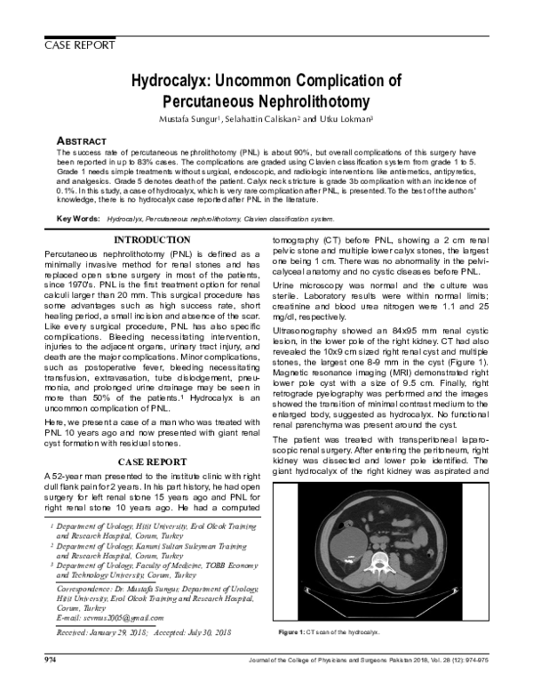(PDF) Hydrocalyx: Uncommon Complication Of Percutaneous Nephrolithotomy