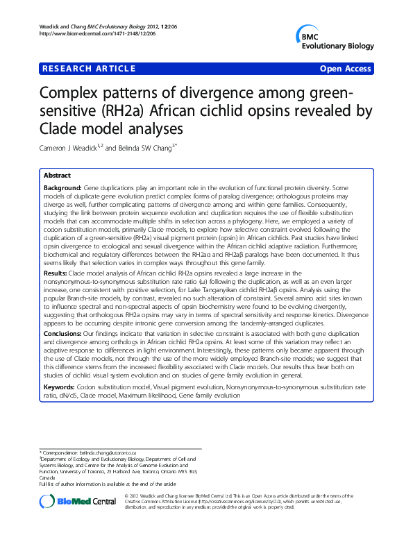 (PDF) Complex patterns of divergence among green-sensitive (RH2a ...