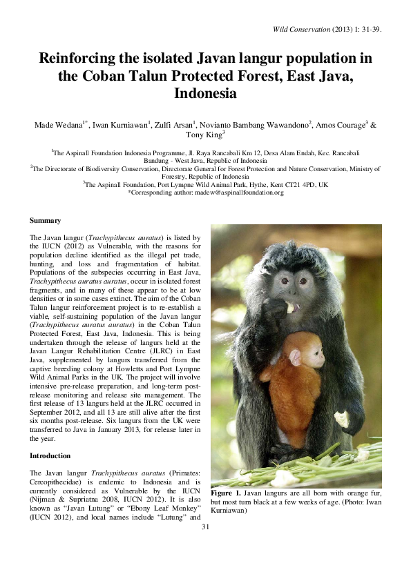 (PDF) Reinforcing the isolated Javan langur population in the Coban ...