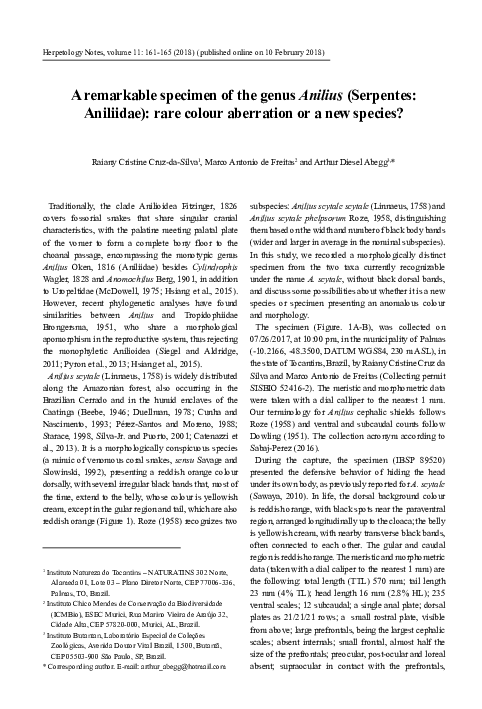 (PDF) A remarkable specimen of the genus Anilius (Serpentes: Aniliidae ...