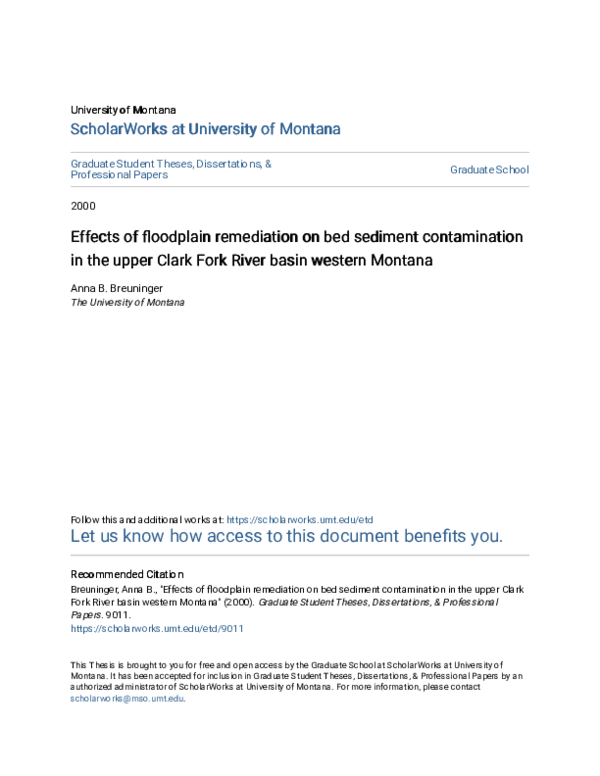 (PDF) Effects of floodplain remediation on bed sediment contamination ...