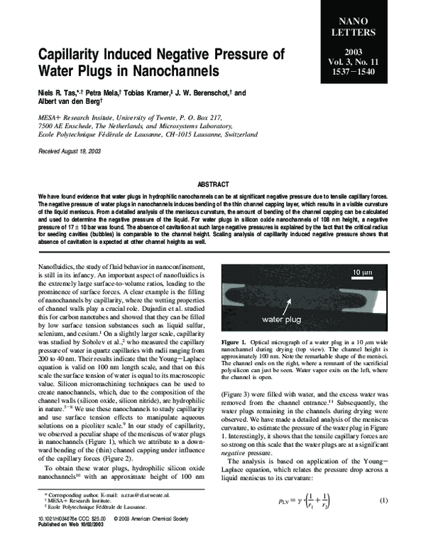 (PDF) Water plugs in nanochannels under negative pressure | Petra Mela ...