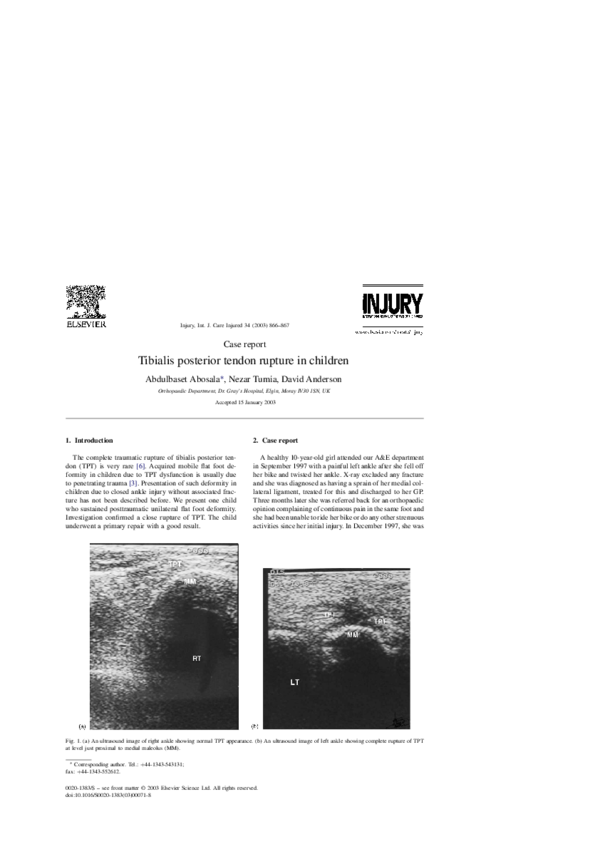 (PDF) Tibialis posterior tendon rupture in children | abdulbaset ...