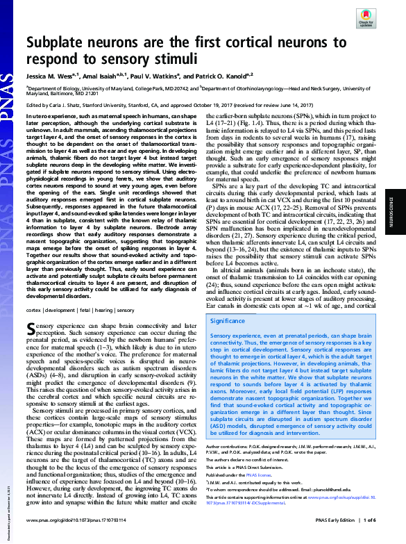 (PDF) Subplate neurons are the first cortical neurons to respond to ...