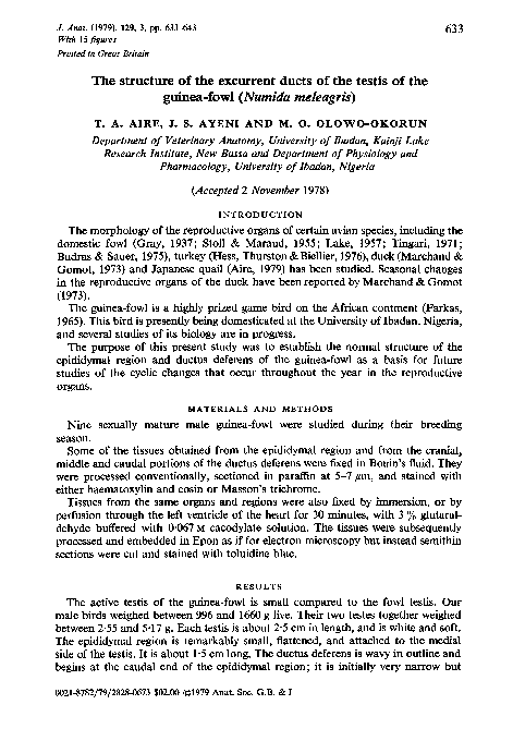(PDF) The structure of the excurrent ducts of the testis of the guinea ...