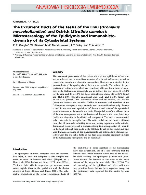 (PDF) The Excurrent Ducts of the Testis of the Emu ( Dromaius ...