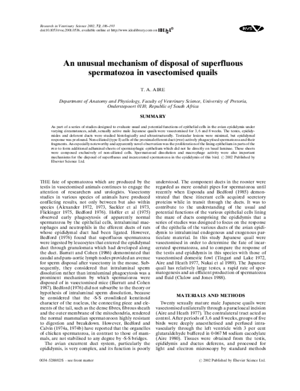 (PDF) An unusual mechanism of disposal of superfluous spermatozoa in ...