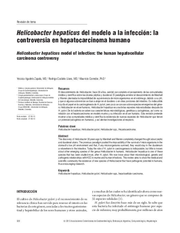 (PDF) Helicobacter hepaticus del modelo a la infección: la controversia ...