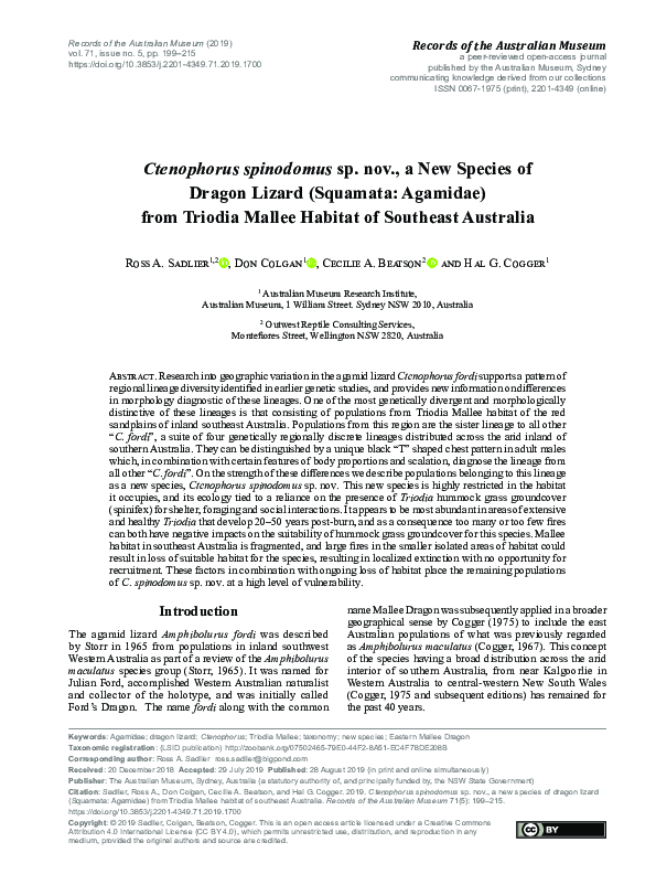 (PDF) Ctenophorus spinodomus sp. nov., a new species of dragon lizard ...