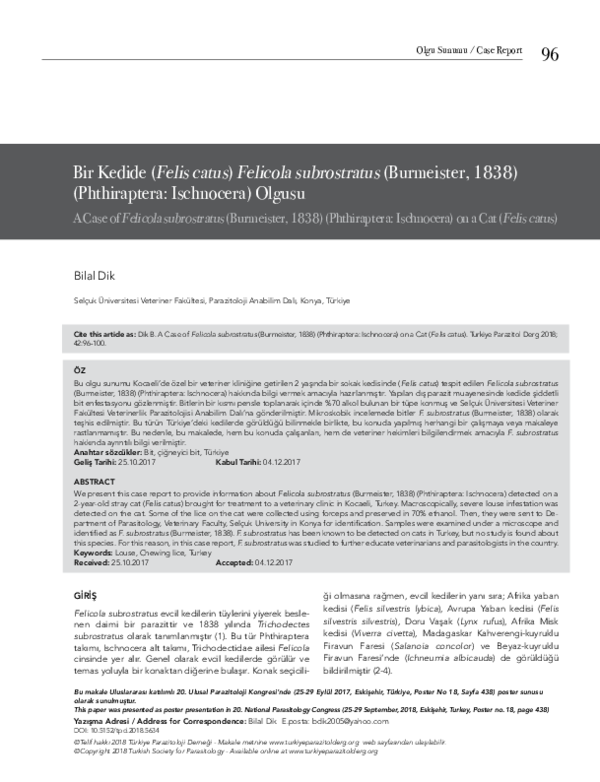 (PDF) A Case of Felicola subrostratus (Burmeister, 1838) (Phthiraptera ...