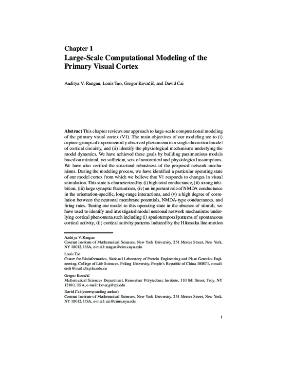 Pdf Chapter 1 Large Scale Computational Modeling Of The Primary Visual Cortex Gregor Kovacic