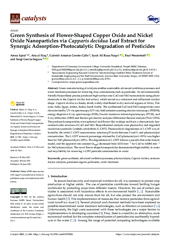 (PDF) Green Synthesis of Flower-Shaped Copper Oxide and Nickel Oxide Nanoparticles via Capparis ...