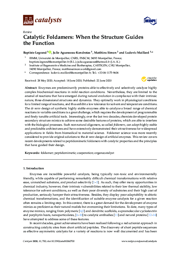 (PDF) Catalytic Foldamers: When the Structure Guides the Function