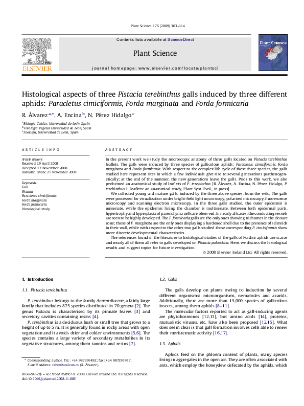 (PDF) Histological aspects of three Pistacia terebinthus galls induced ...