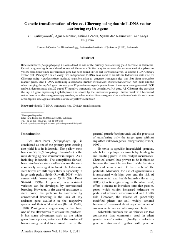 (PDF) Genetic transformation of rice cv. Ciherang using double T-DNA ...