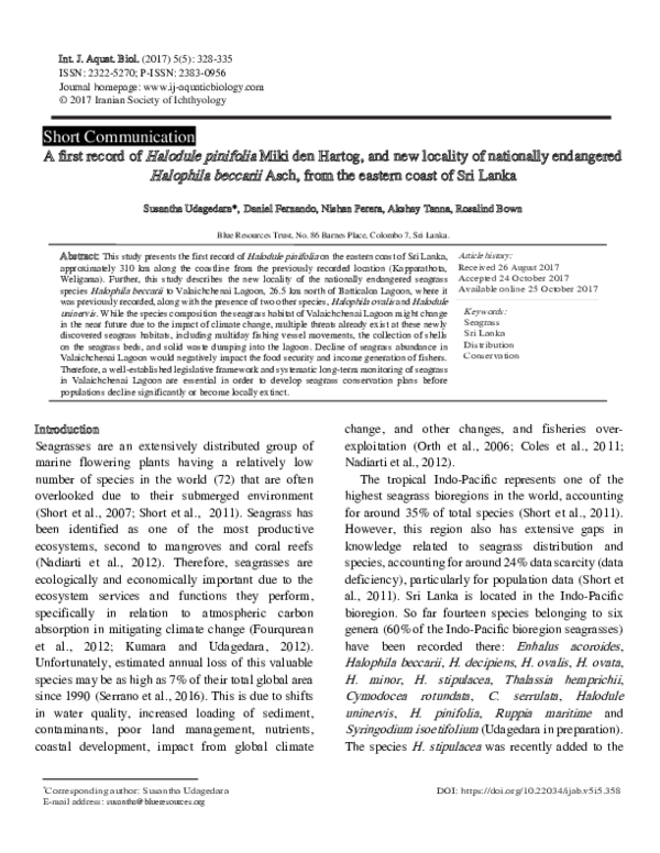 (PDF) A first record of Halodule pinifolia Miki den Hartog, and new ...