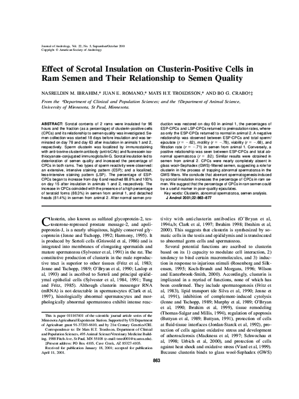 (PDF) Effect of scrotal insulation on clusterin-positive cells in ram ...