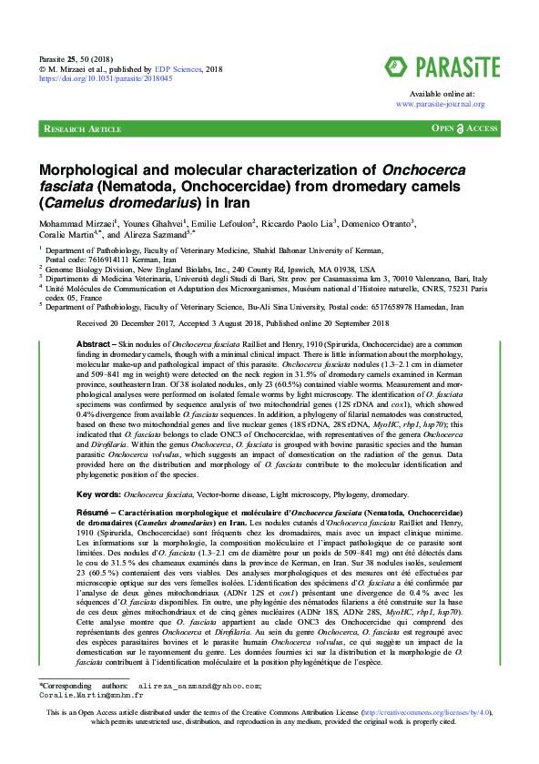(PDF) Morphological and molecular characterization of Onchocerca ...