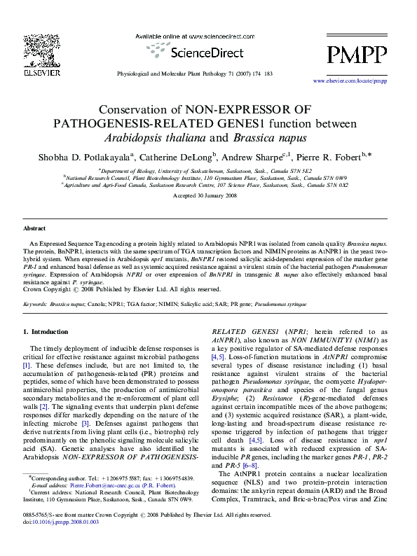 (PDF) Conservation of NON-EXPRESSOR OF PATHOGENESIS-RELATED GENES1 ...