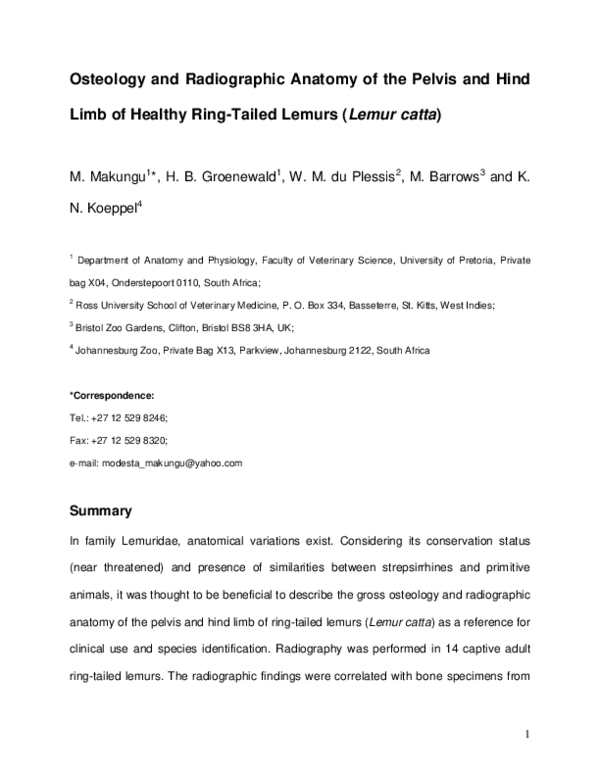 (PDF) Osteology and Radiographic Anatomy of the Pelvis and Hind Limb of ...