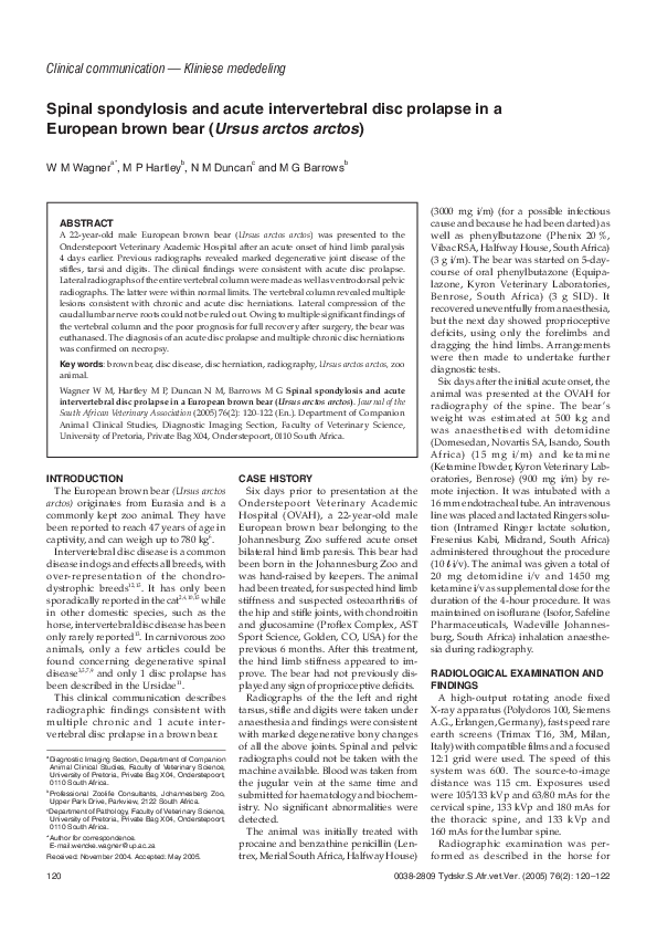 (PDF) Spinal spondylosis and acute intervertebral disc prolapse in a ...